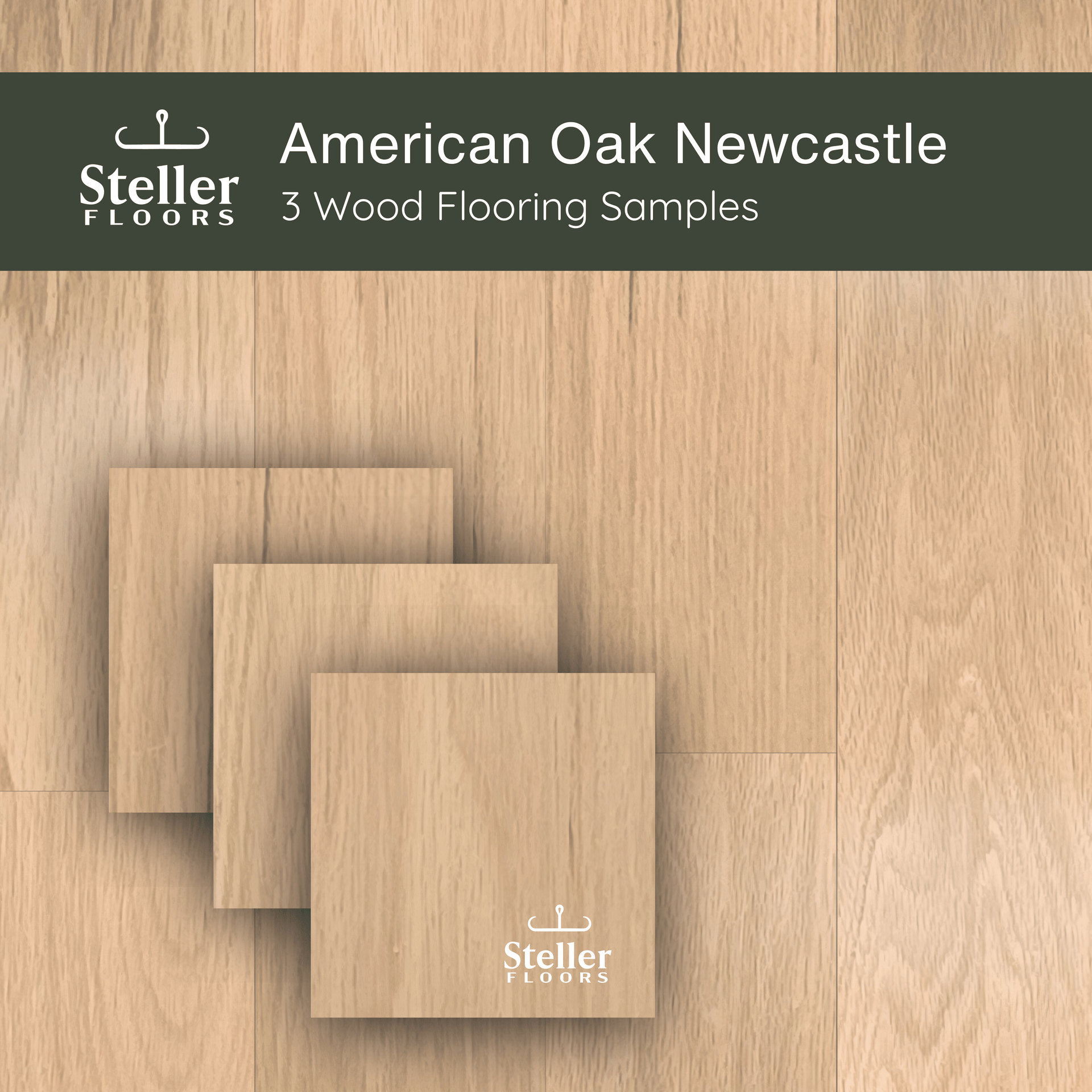 All Steller Sample 3-Packs | Explore Sample Packs and Save Big ...